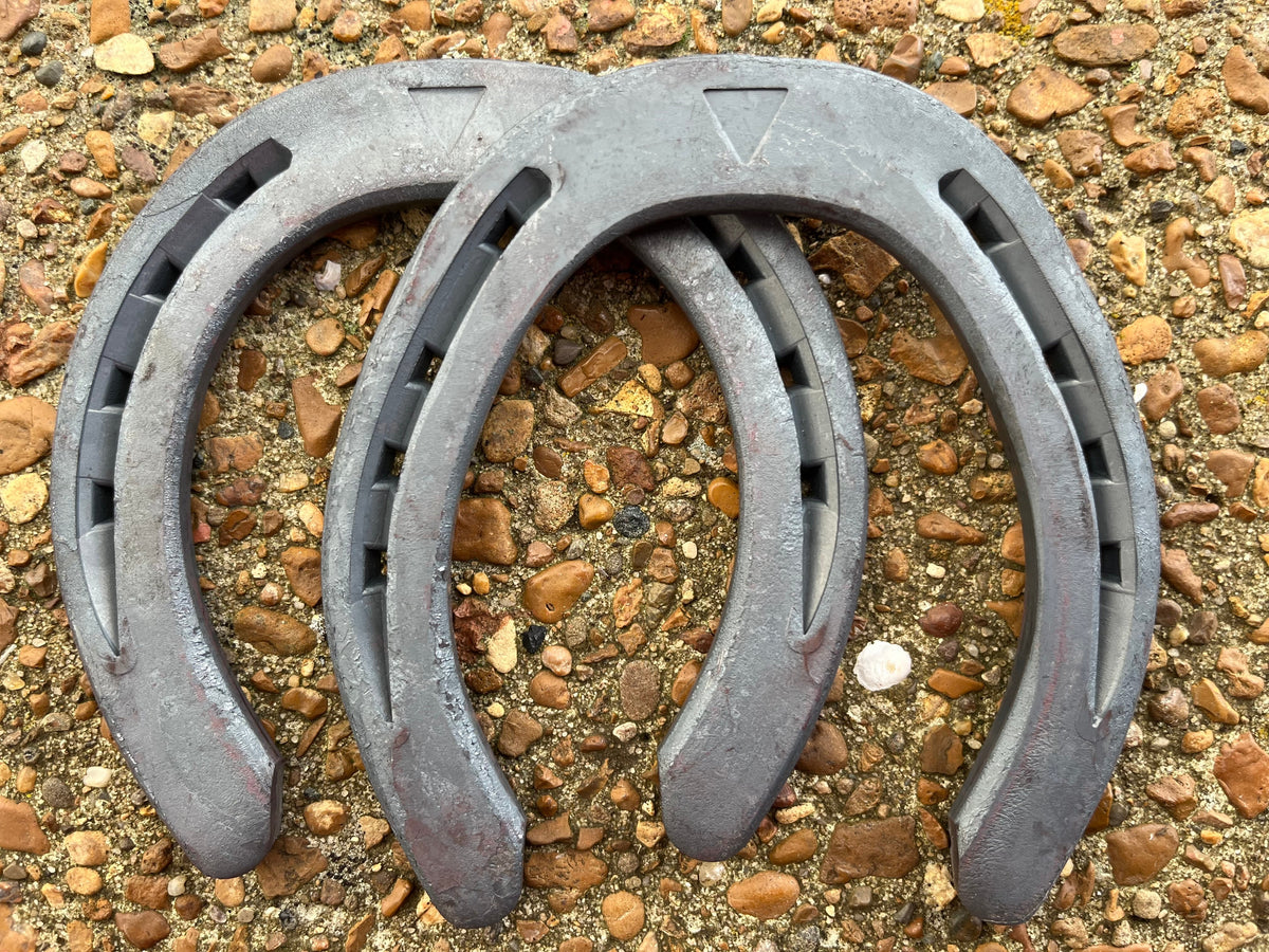 Delta Horseshoes - For Support & Protection of the Hoof – Tennessee ...