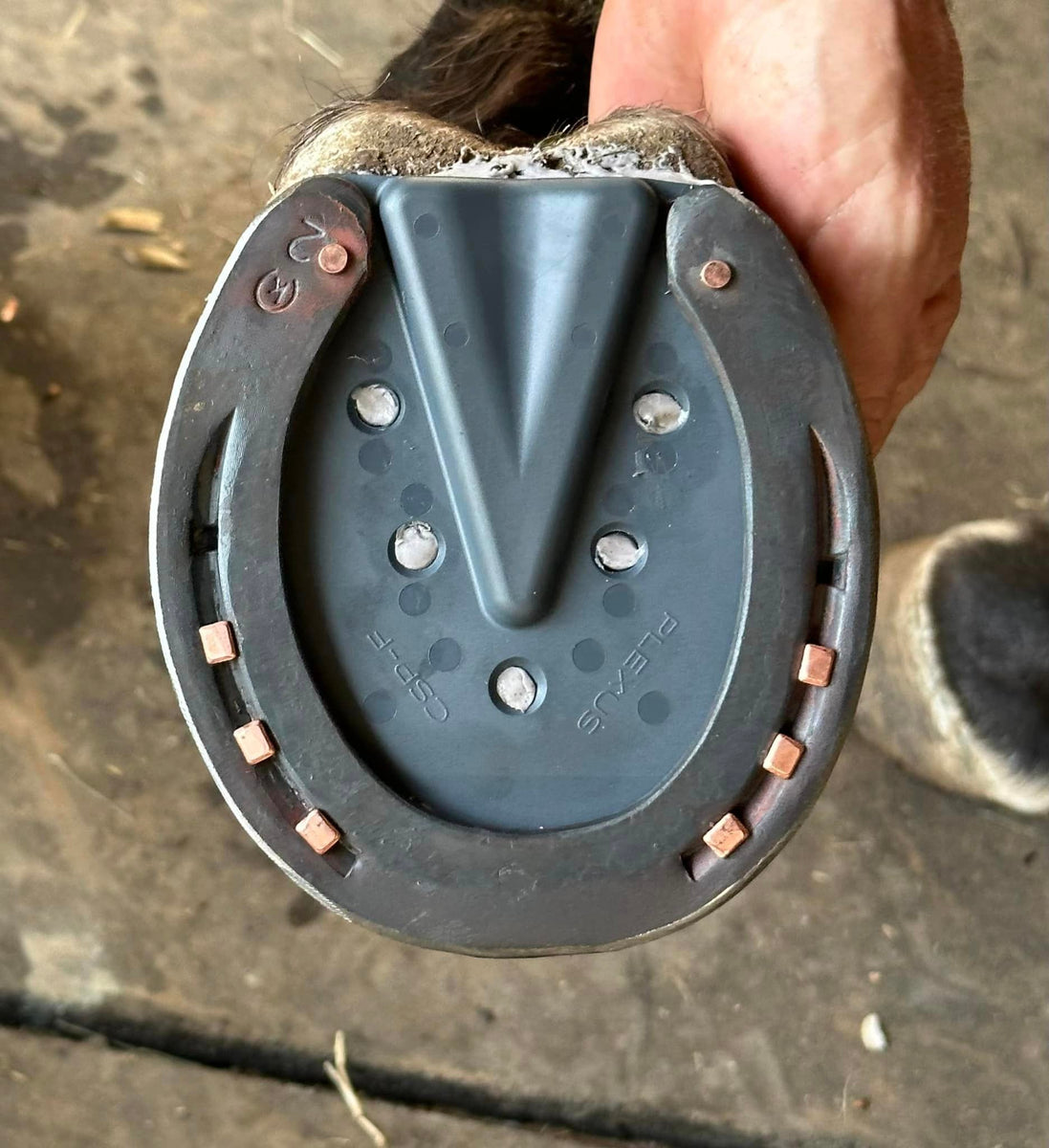 Plexus Open Toe Pad – Tennessee Farrier Supply